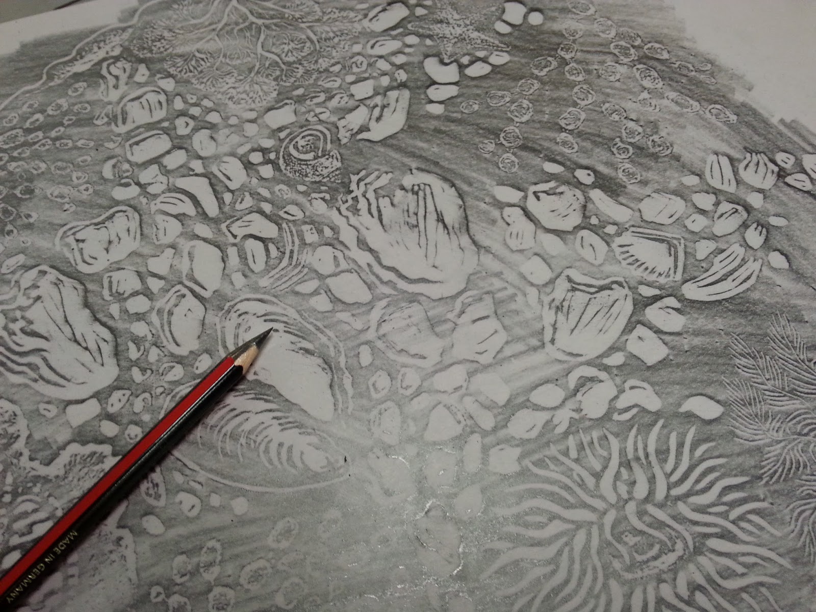Toni Hartill Art: My 3D rockpool for Boundless Printmaking exhibition ...