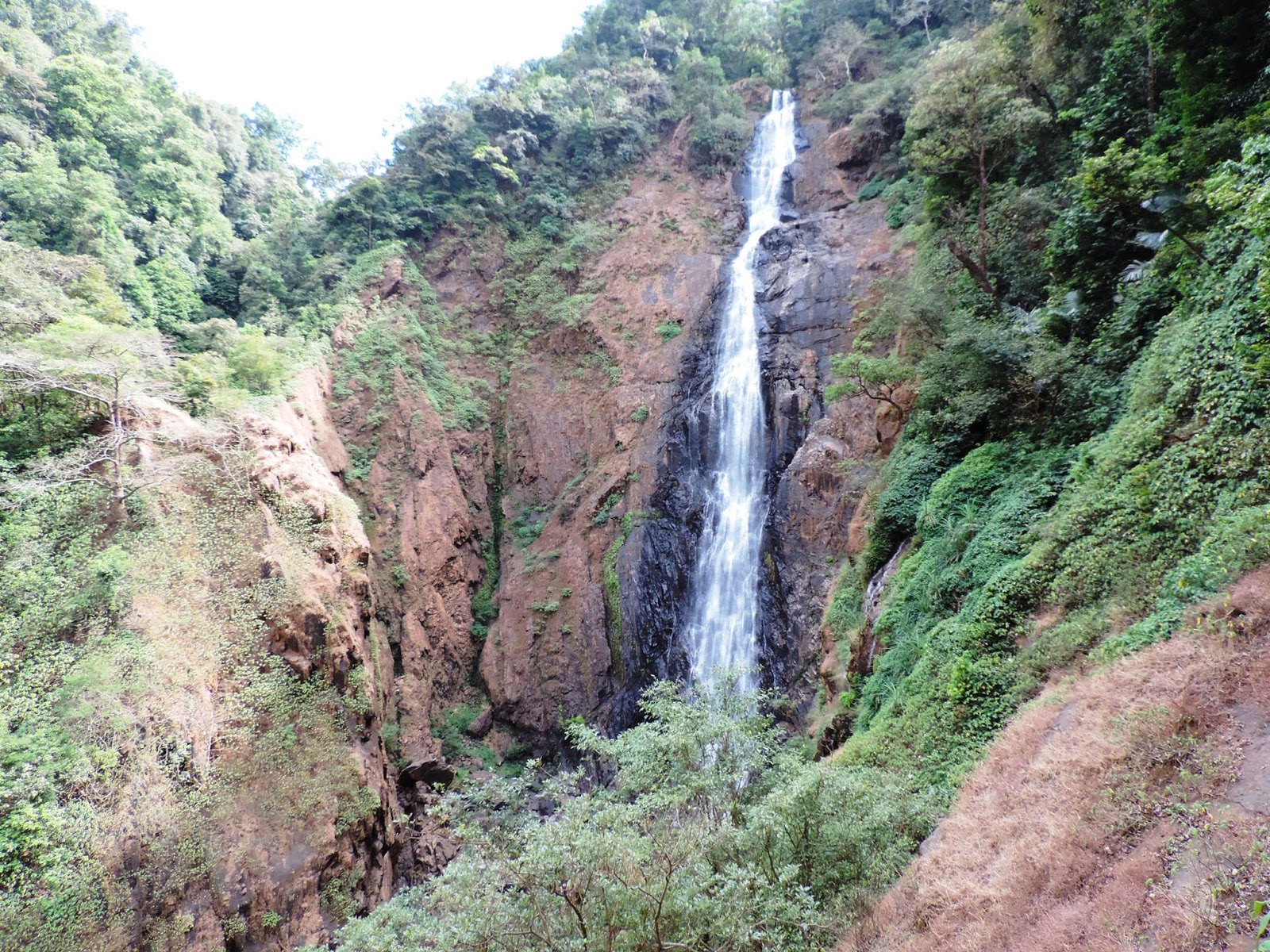 Sagara - Dabbe Falls Trek - Bangalore Trekking Club®