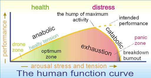 Stress Test Management