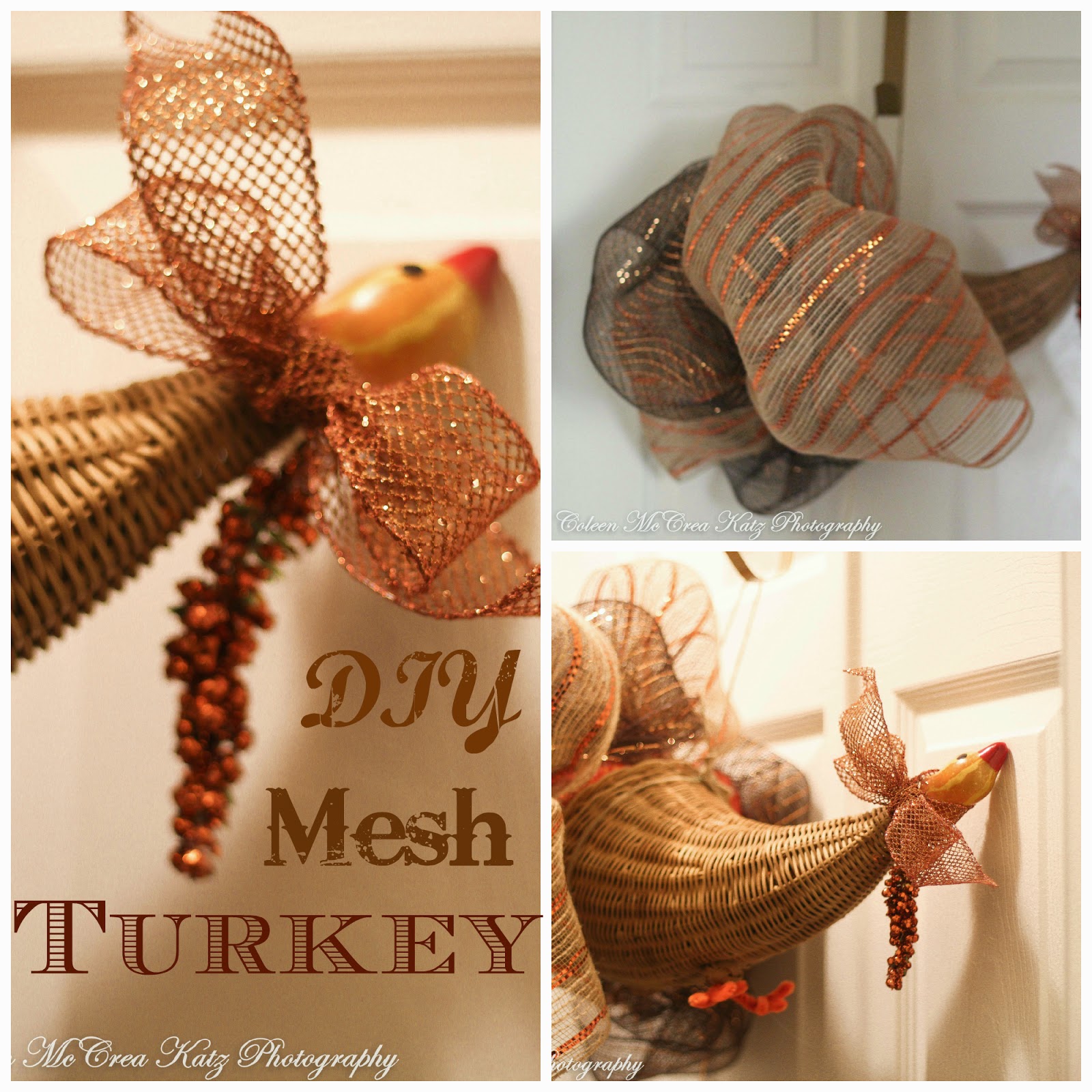 Elegant Food and Crafts: Mesh Turkey