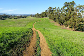 Wilderness Backpacking: Arastradero Preserve Day Hiking