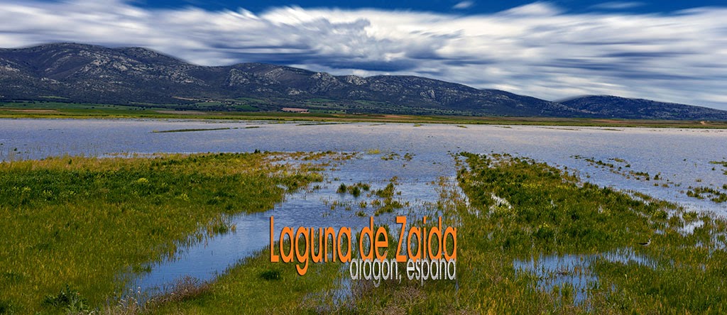 Wouts fotobloG: Laguna de la Zaida, Aragón