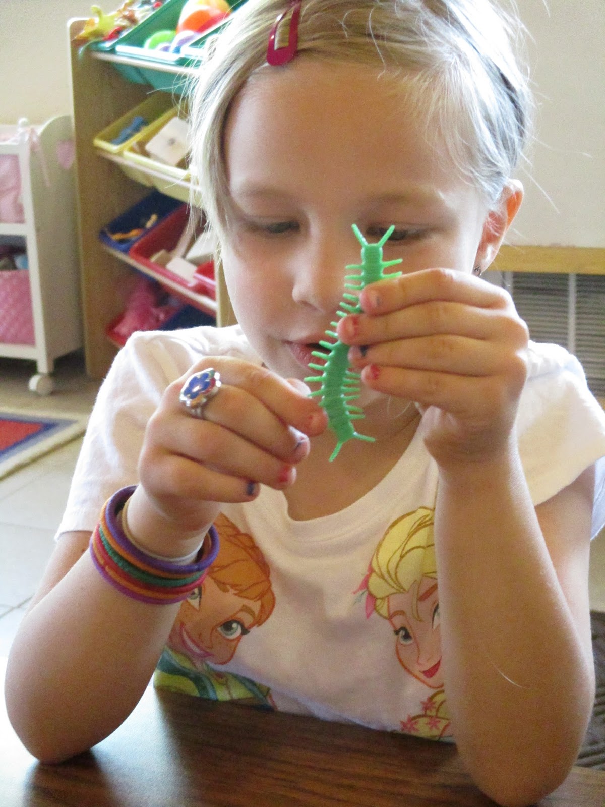 First Week of Summer Camps: Insects! | Treasure Tree Academy
