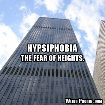 Collections: November 2013