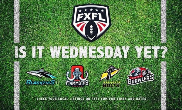 FXFL 2014 - FootballIdiot