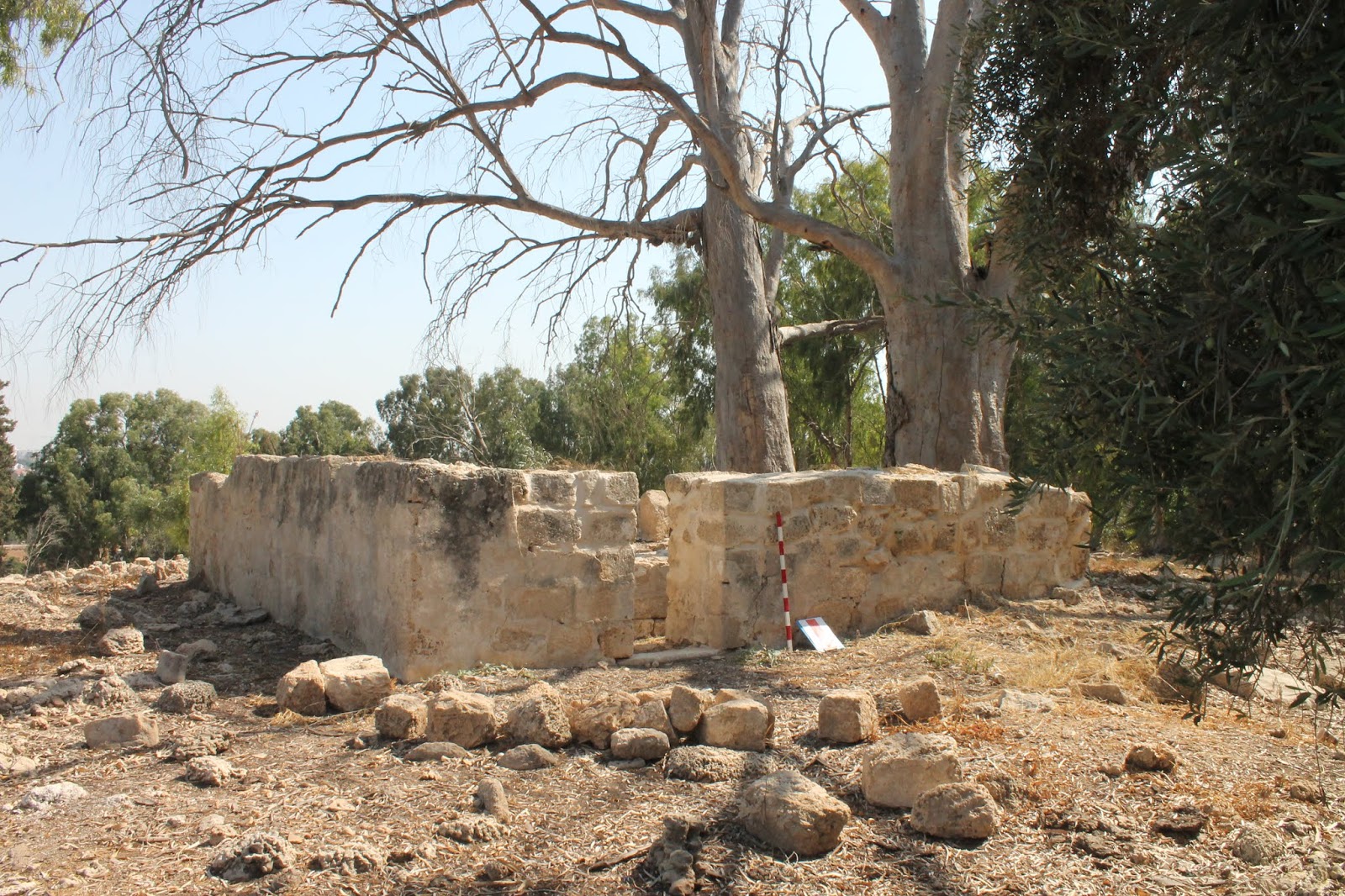 Muslim shrines in Israel: 6. Maqams. Sharon Plain and Carmel