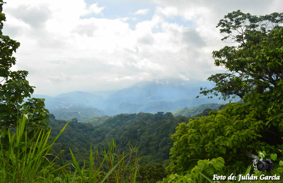 Julian Garcia: TEPECOYO Y SU ORO NEGRO