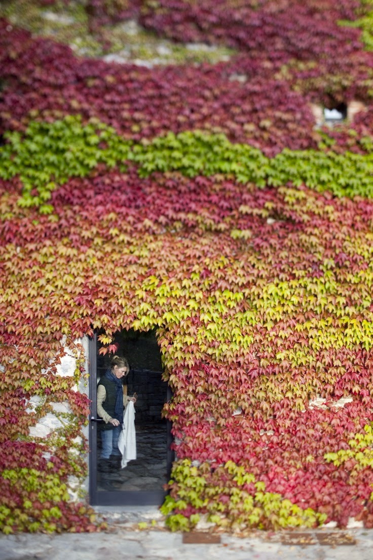 Italy in Autumn ~ Photos Hub