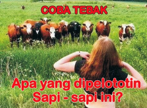 36 Gambar Animasi Lucu Ngeres - Riset