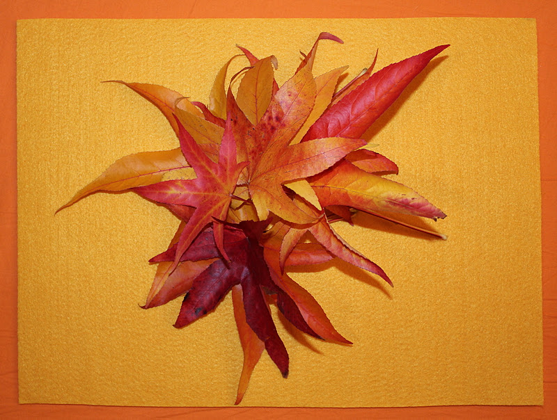 * l e p e m a l e s t v a r i * : Jesenski listki v vsej svoji lepoti