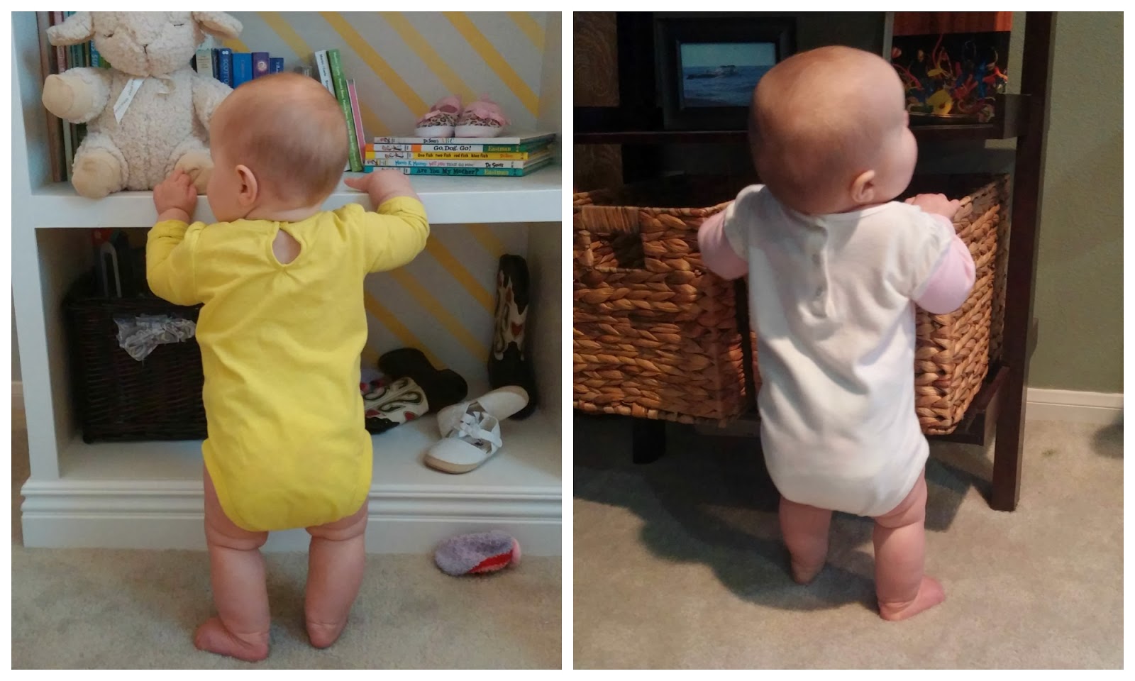 The Noble Adventures: eight months