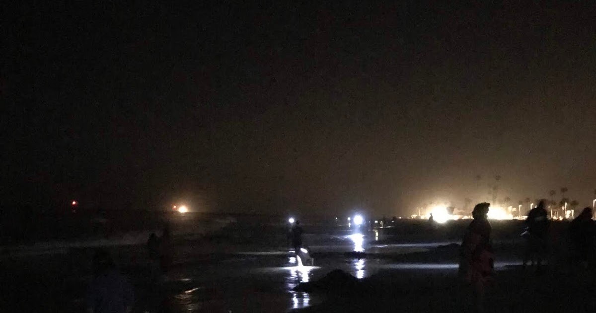 Here and There: Oceanside Grunion Run