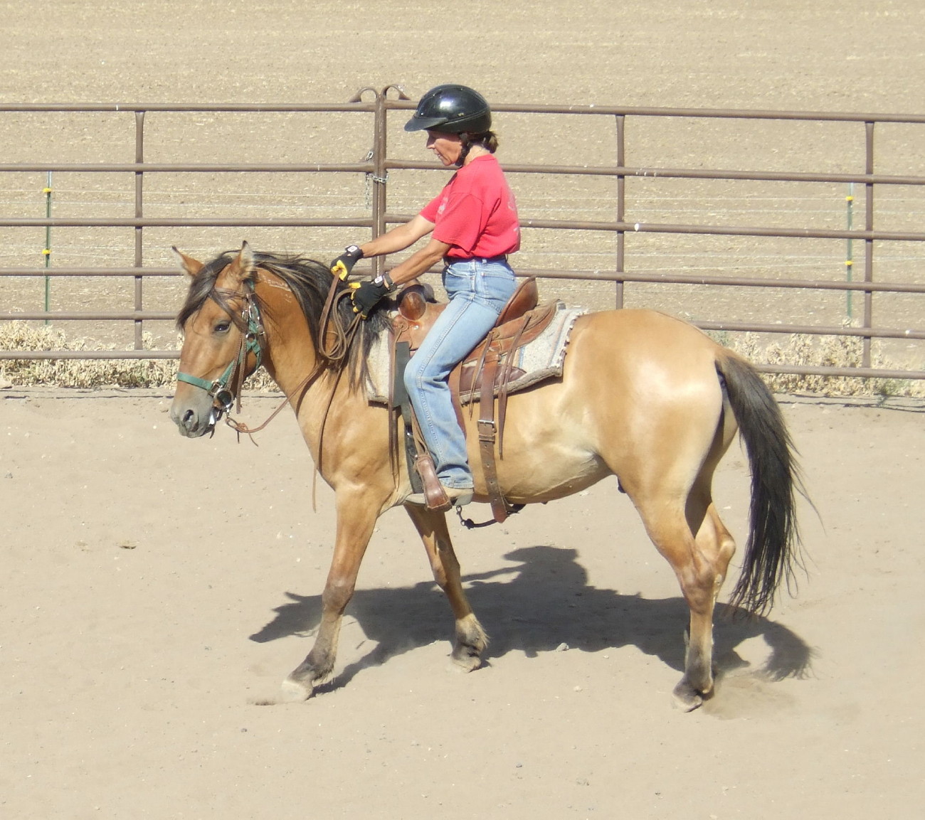 Health & Life at the Rough String: It's All About Brego