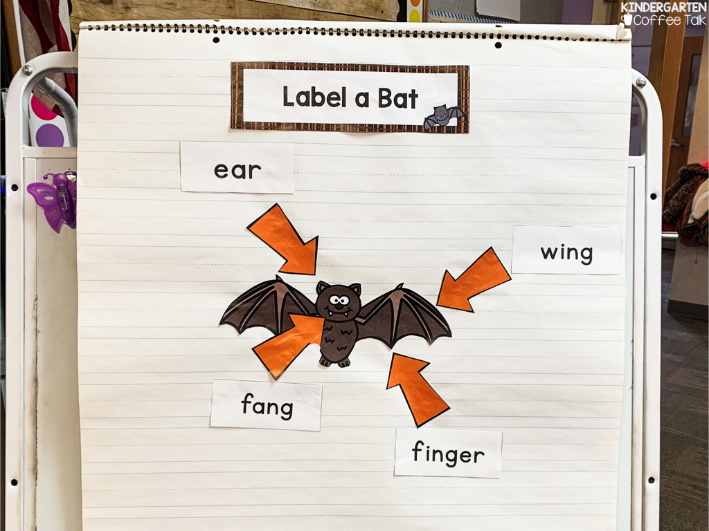 Kindergarten Coffee Talk: Nocturnal Animals Research Project