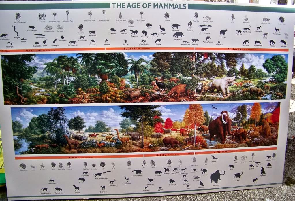 What happens when a non-accredited paleontology fan blogs: Book Review ...
