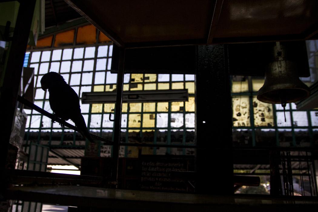 Un viaje por el Culiacán de los narcos muertos "El cementerio narco ...