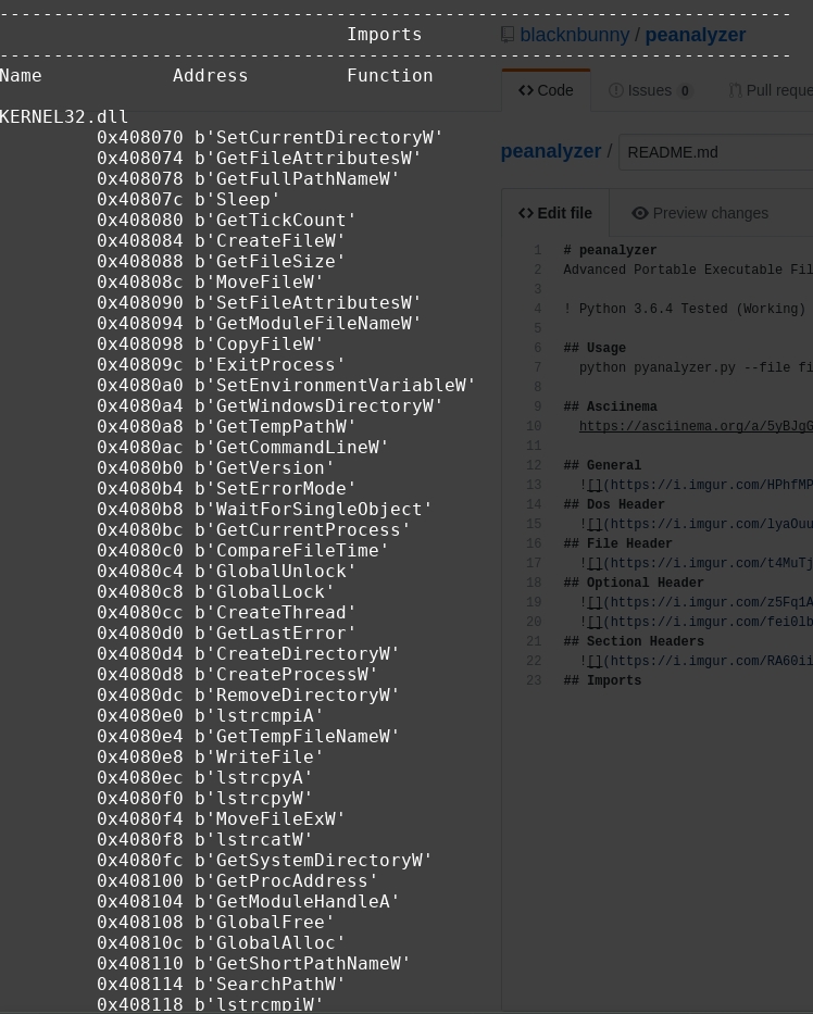 Peanalyzer Advanced Portable Executable File Analyzer And Disassembler