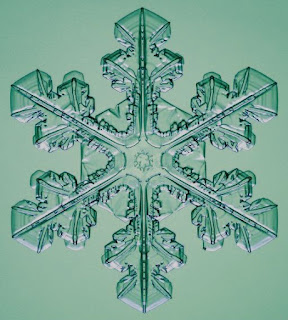 Heraldry of Life: ART with REAL SNOWFLAKES