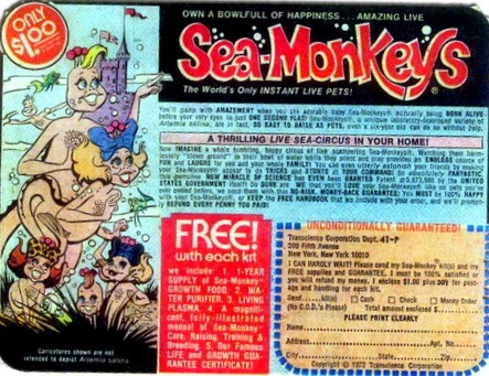 She's Fantastic: Sea Monkeys SISTER!