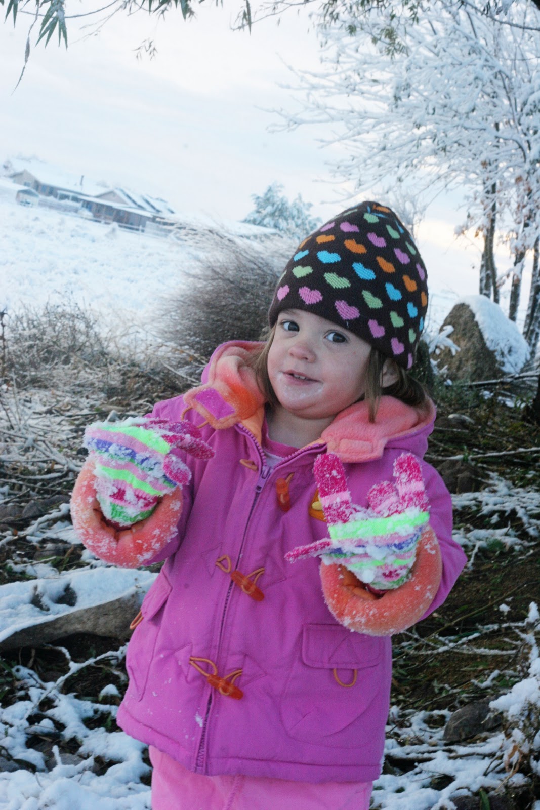 The Nelson Family Blog