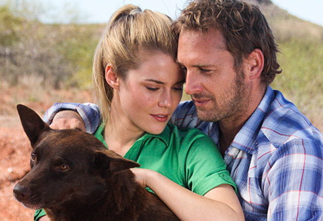 Beautiful Day: Red Dog - Film Love