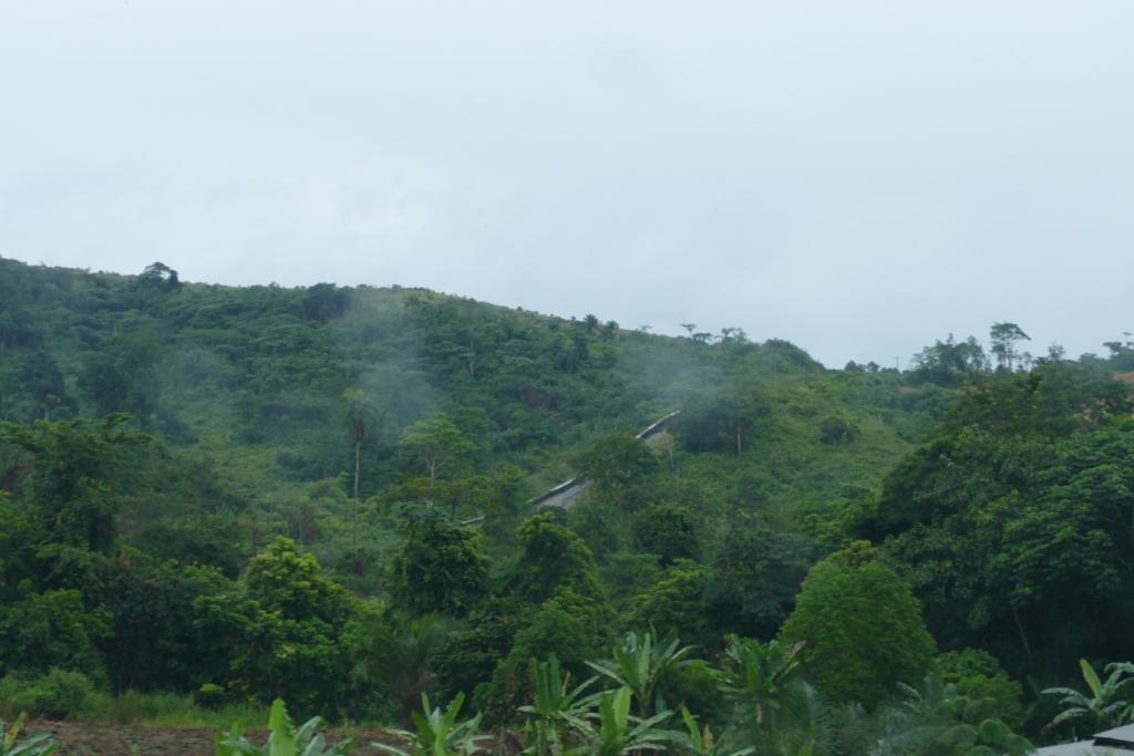séjour au Gabon: De Moanda au parc de la Lékédi