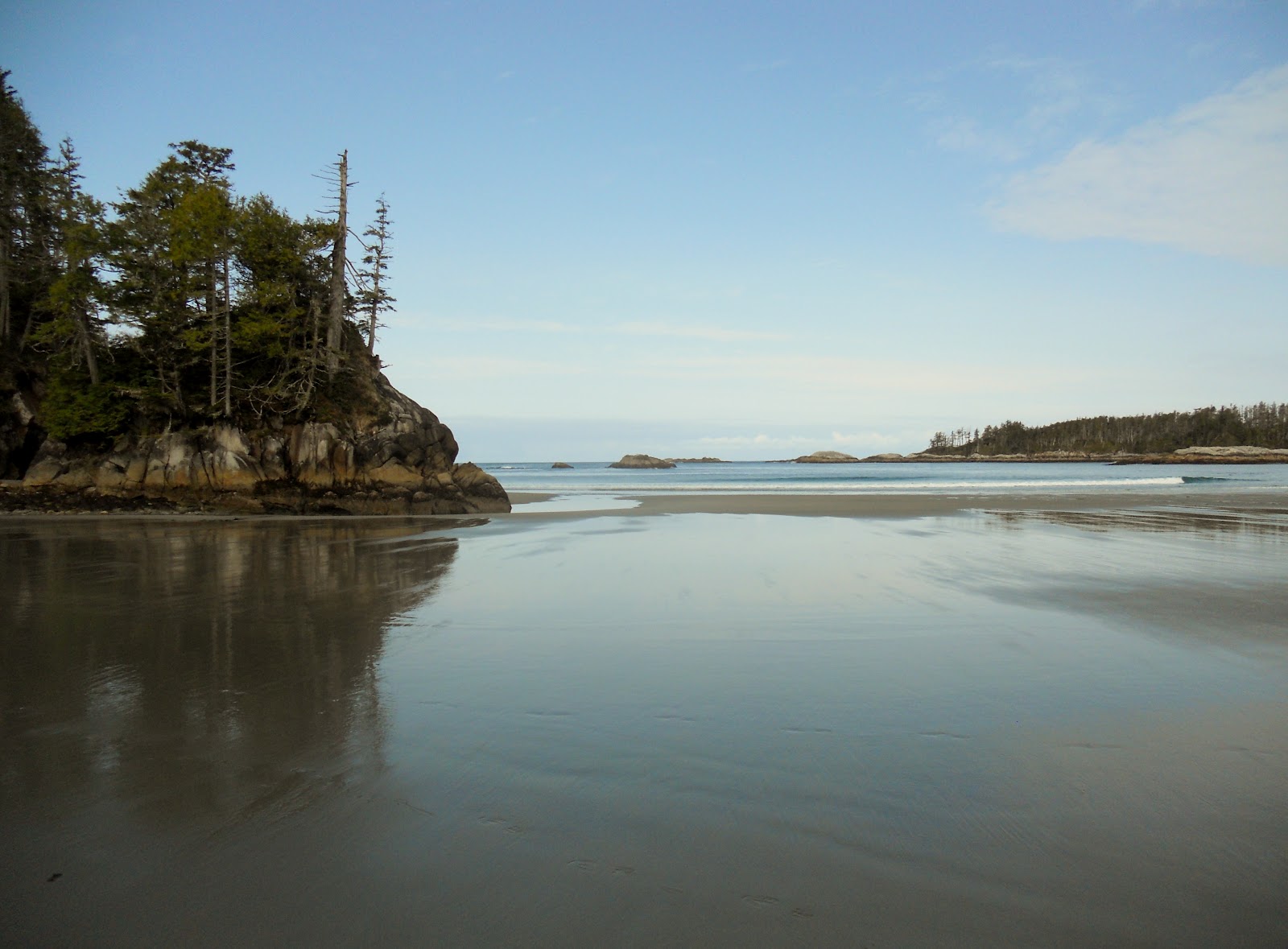 Sea Lurchin: Pruth Bay, Calvert Island, May 10 & 11: Paradise Found