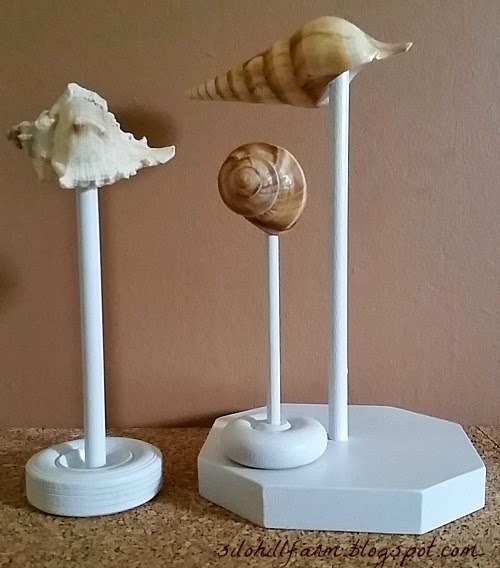 Silo Hill Farm: SEA SHELL DISPLAY STANDS