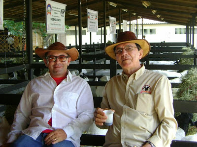 PATU CIDADE TURÍSTICA: RECONHECIMENTO DA RAÇA DE OVINOS SOINGA É ...
