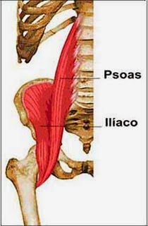 MAESTRO DE CORREDORES. TÉCNICA DEL CORREDOR DE FONDO.: El psoas, el ...