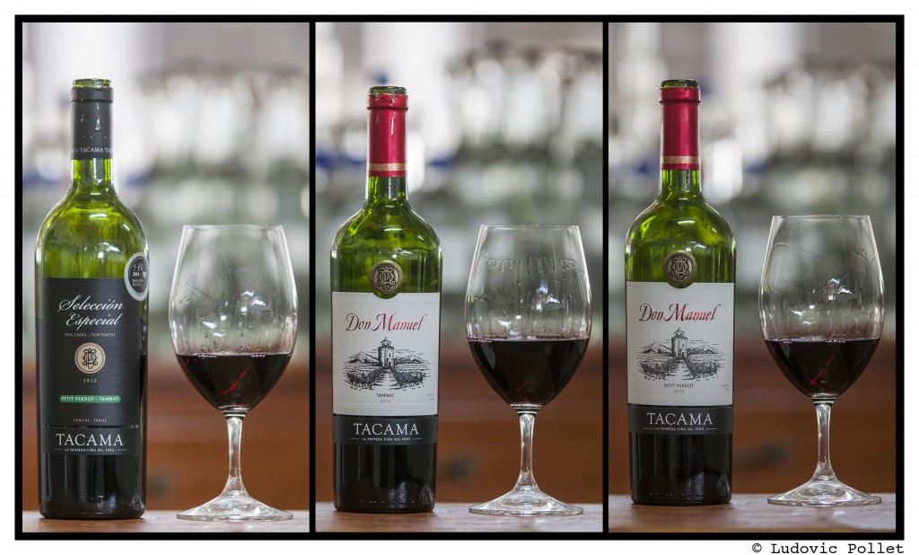 Gastro Wine Tour: Vinhos do Peru / Historia e curiosidades.