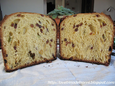 La vetrina del Nanni: Panettone Alto a Doppio Impasto con Lievito Madre