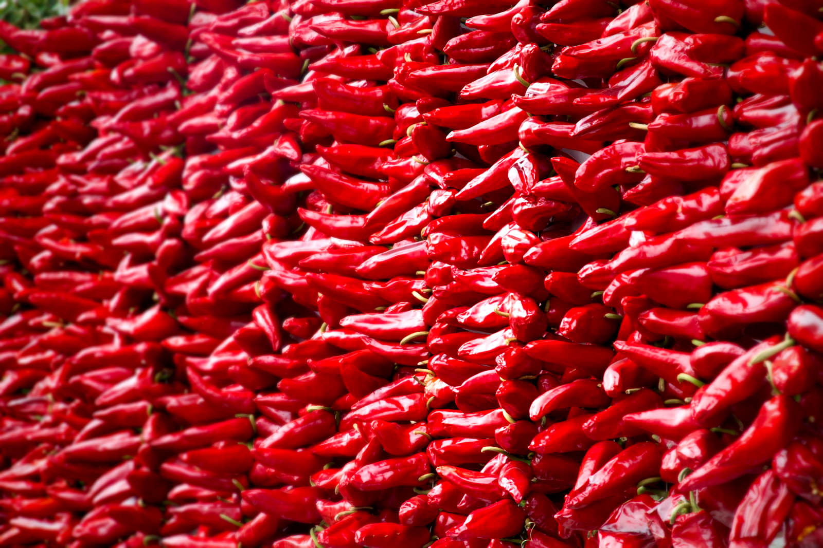 Le Club des Gourmets: Le Piment d'Espelette : l'or rouge du Pays Basque