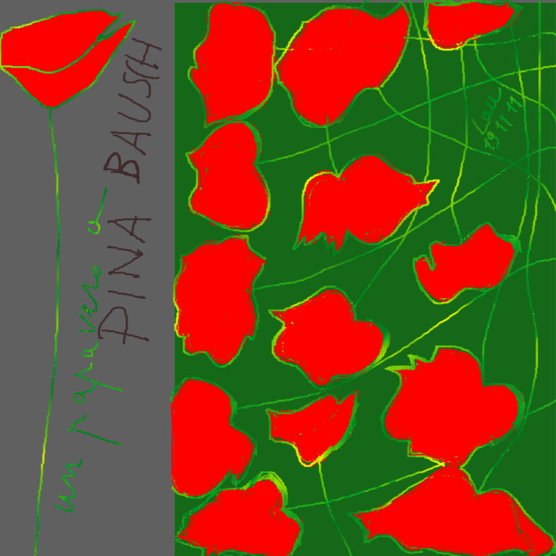 papavero di campo: Pina di Wim Wenders. Un papavero a Pina Bausch