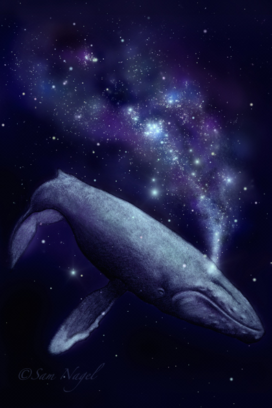 Dreaming of Art and Other Things: Space Whale