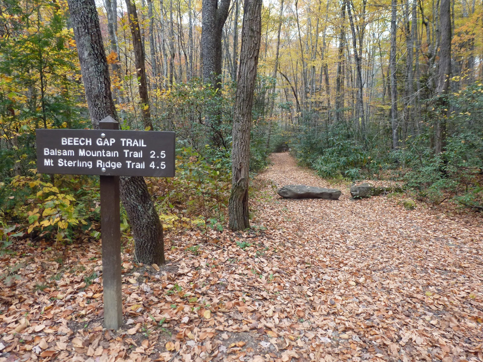 The Continuing Adventures of Eric, Noelle and Sierra: Great Smoky ...