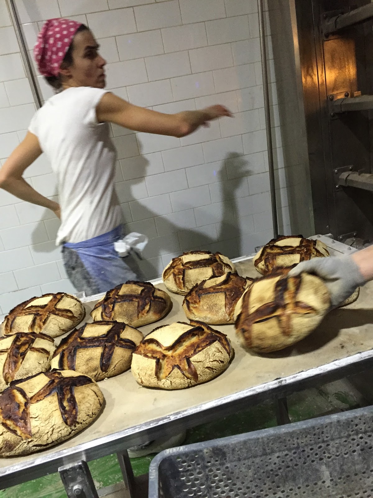 PAN COCIDO EN HORNOS DE PANADERÍA REFRACTARIOS. - Cobamaq