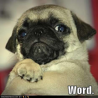 FUNNY PICTURES: Dog image, dog jokes, dog pictures, & funny dog stories ...