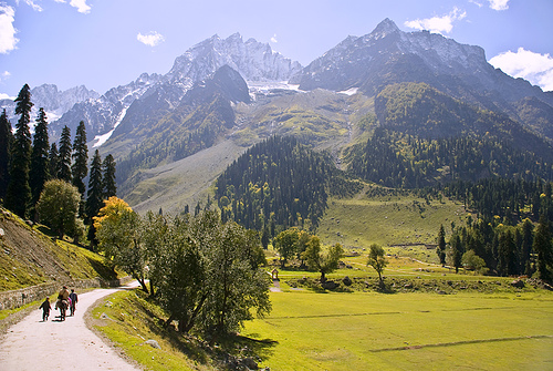 Traveler Guide: Kashmir