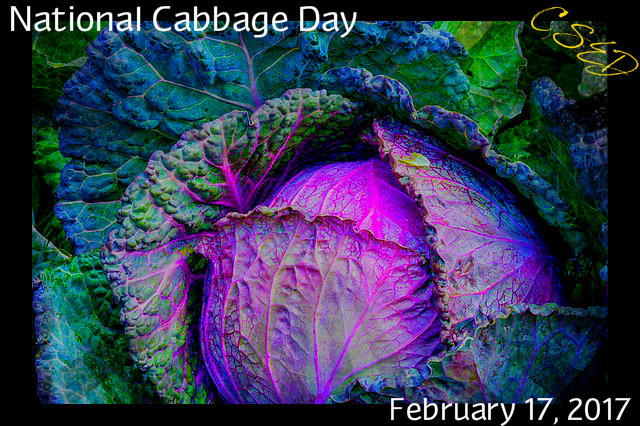 Crazy Days To Celebrate: February 17, 2017