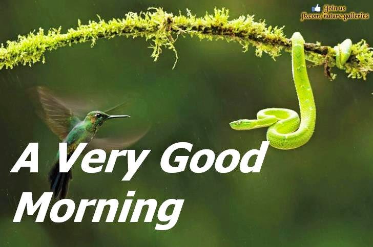 Latest Good Morning images For Whatsapp