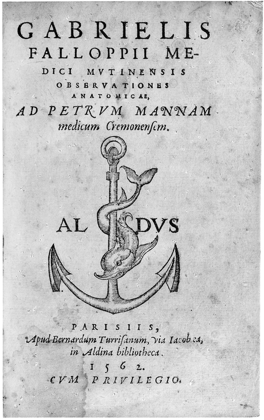 Gabriele Falloppio – anatomist and physician | Italy On This Day