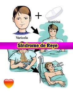 Doenças Sistema Digestório: Síndrome de Reye