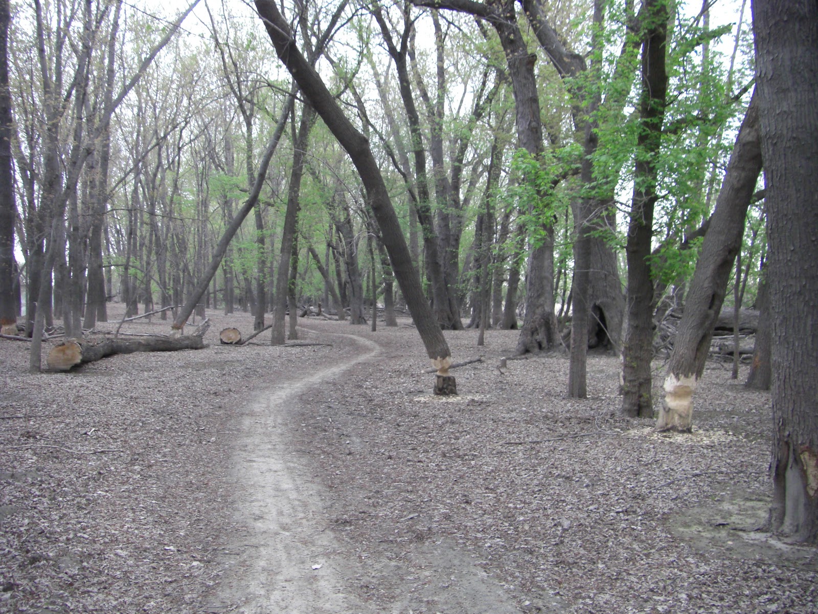 MN Bike Trail Navigator: Trail Photo Gallery: Fort Snelling State Park