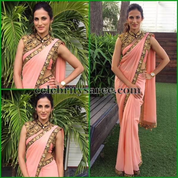Shilpa Reddy in Peach Color Saree - Saree Blouse Patterns