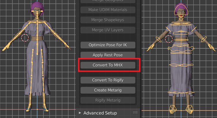 Diffeomorphic: Rigging Section