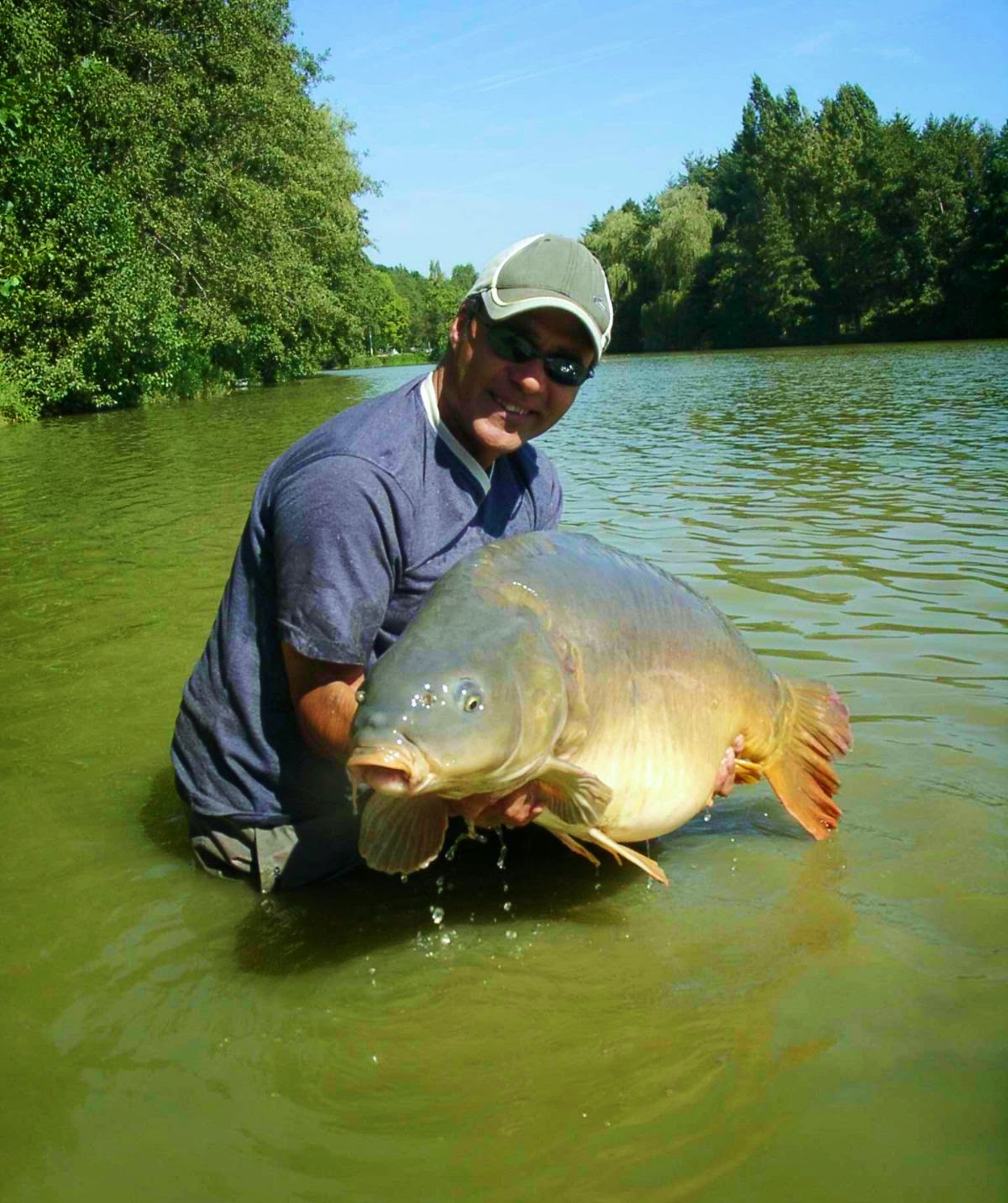 Partial Ellipsis of the Sun: A Blog for Scientists who like Words and ...