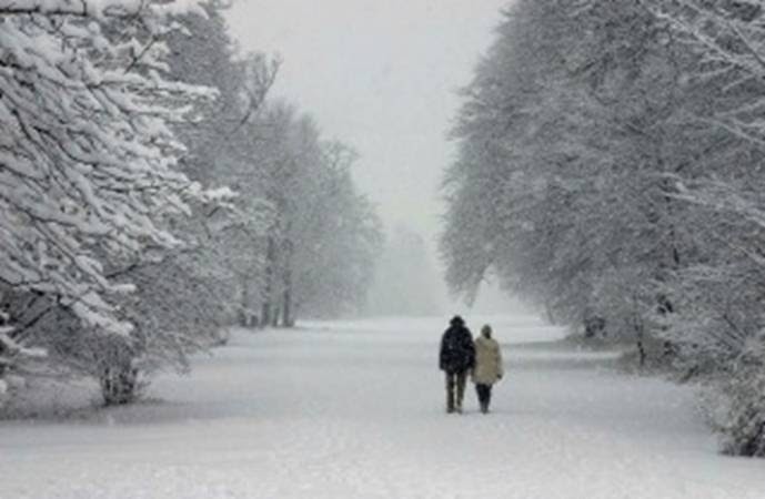 PoemShares: A Winter Walk