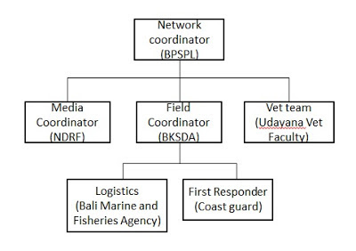 Putu Liza's a whale of a tale: Bali marine mammal stranding workshop ...