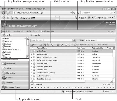 Microsoft Dynamics CRM: Microsoft Dynamics CRM User Interface